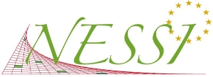 NESSI – the European Technology Platform for Software, Services and ...
